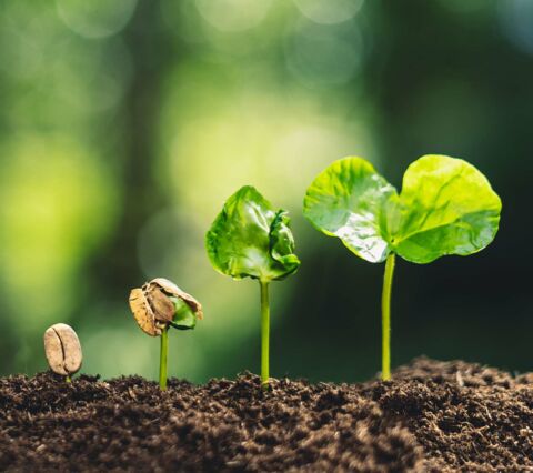 RHODIUS Mineralquellen: Tradition, New Work & Sustainability - Rhodius ...